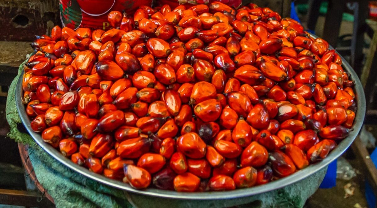 Stearic Acid BP - RSPO - British Wax