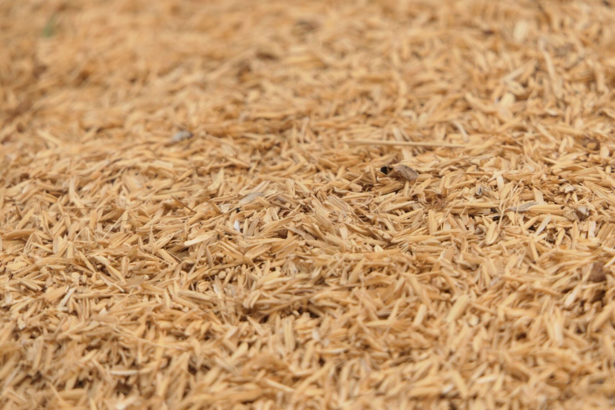 Rice Bran Wax British Wax